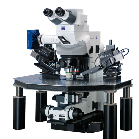VIVO Multiphoton - 3i