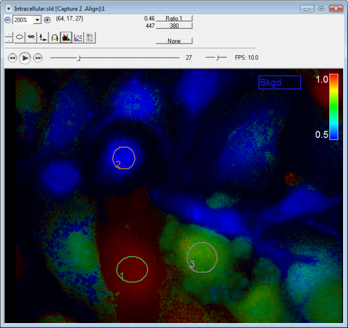 Methods + Applications - 3i