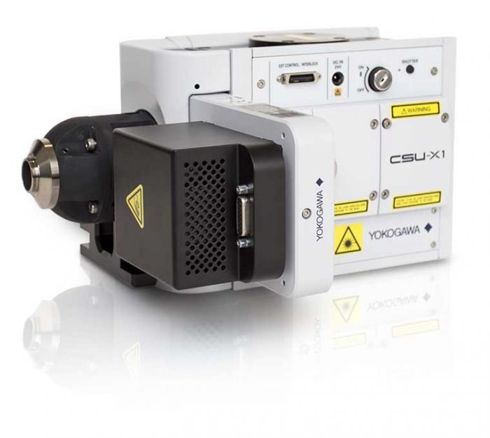 Spinning Disk Confocal - 3i