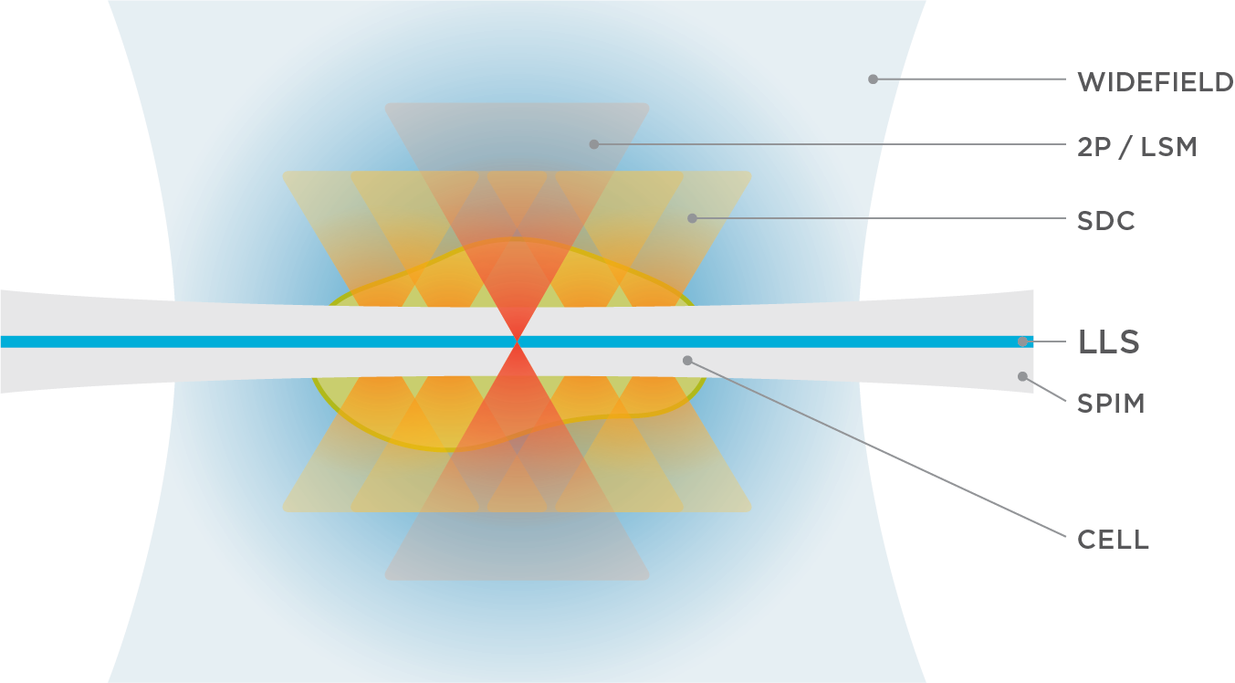 Lattice LightSheet - 3i
