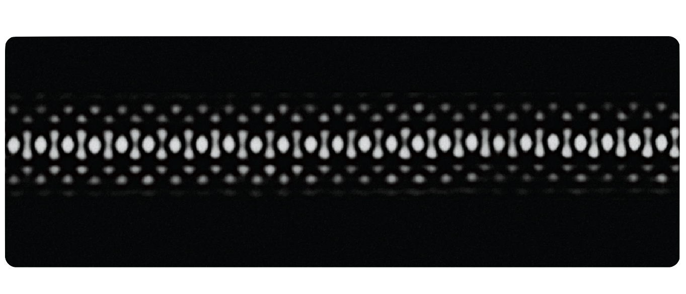 Lattice LightSheet - 3i