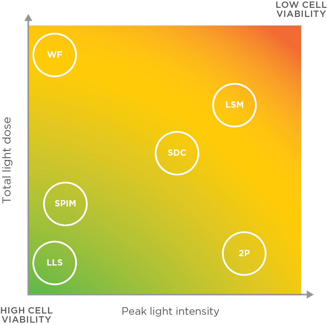 Lattice LightSheet - 3i