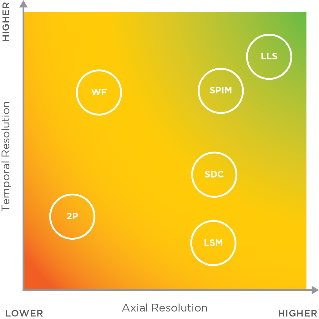 Lattice LightSheet - 3i