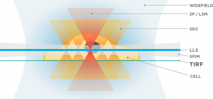 Total Internal Reflection Fluorescence (TIRF) Microscopy - 3i