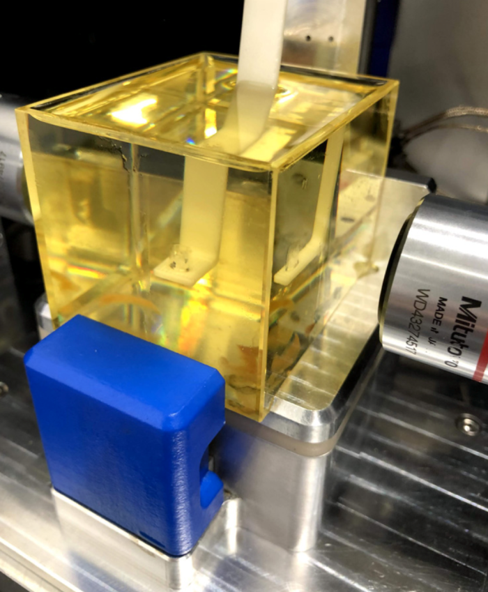 Intelligent Imaging Innovations (3i) Collaborates With 3M to Leverage ...