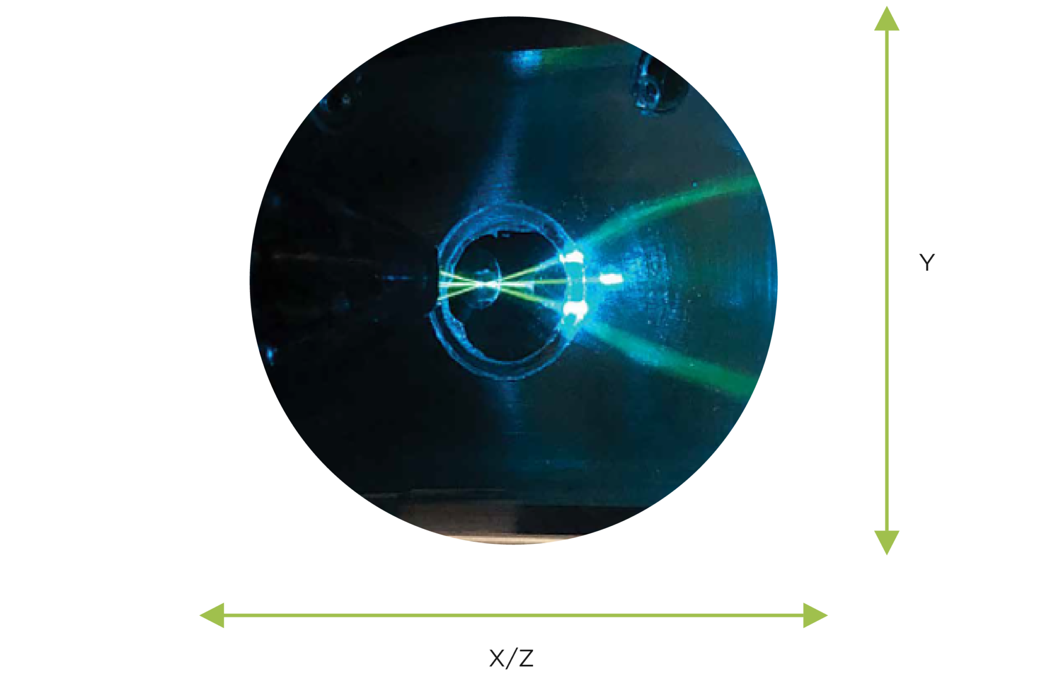 Lattice LightSheet - 3i