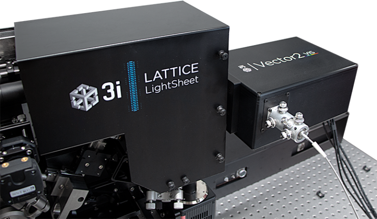 Lattice LightSheet - 3i