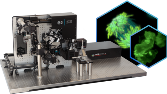 Lattice LightSheet - 3i