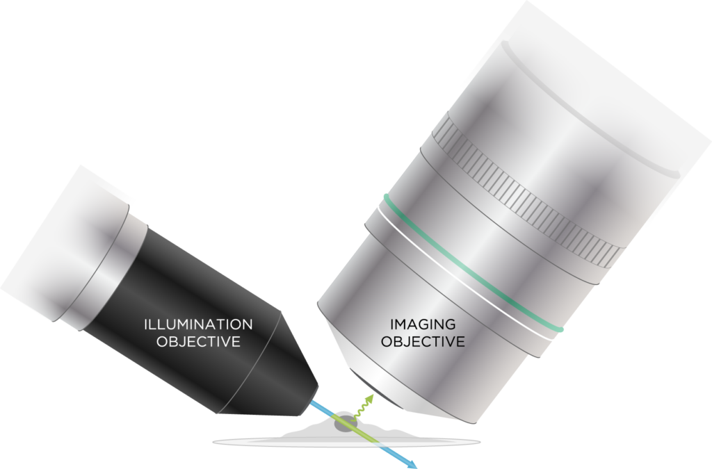 Lattice LightSheet - 3i