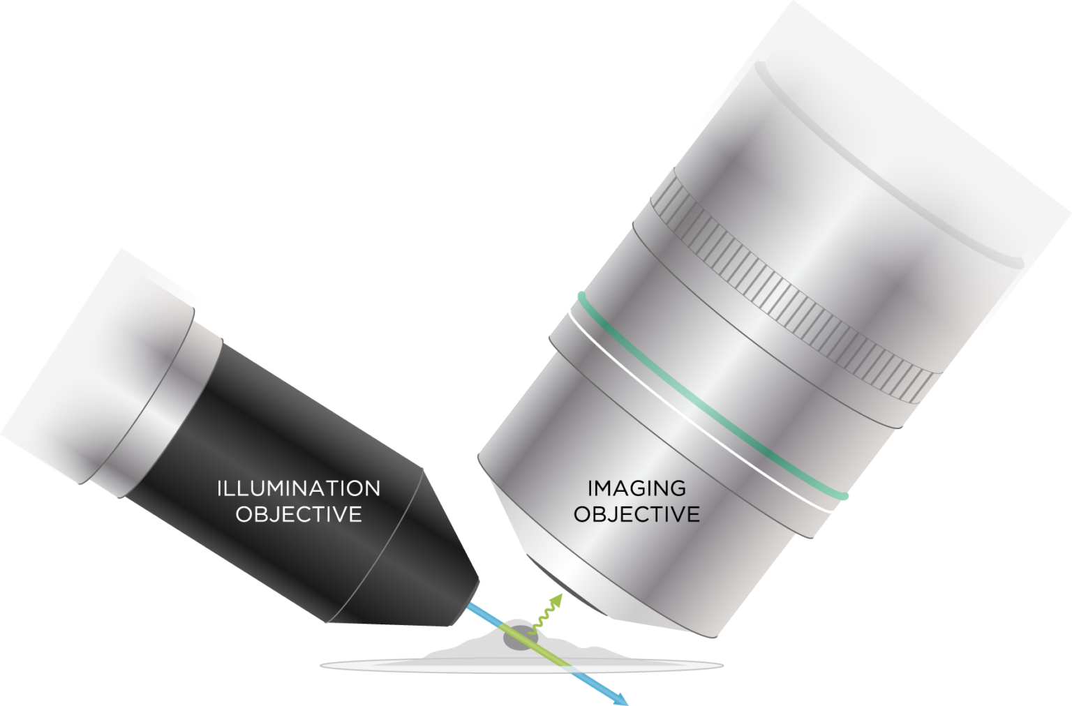 Lattice LightSheet - 3i