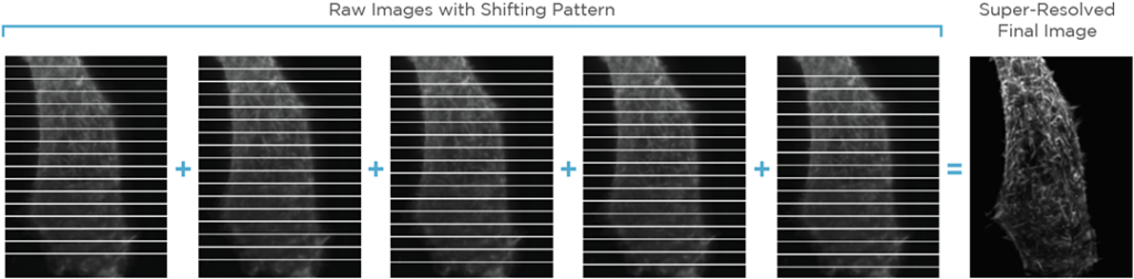 Lattice LightSheet - 3i