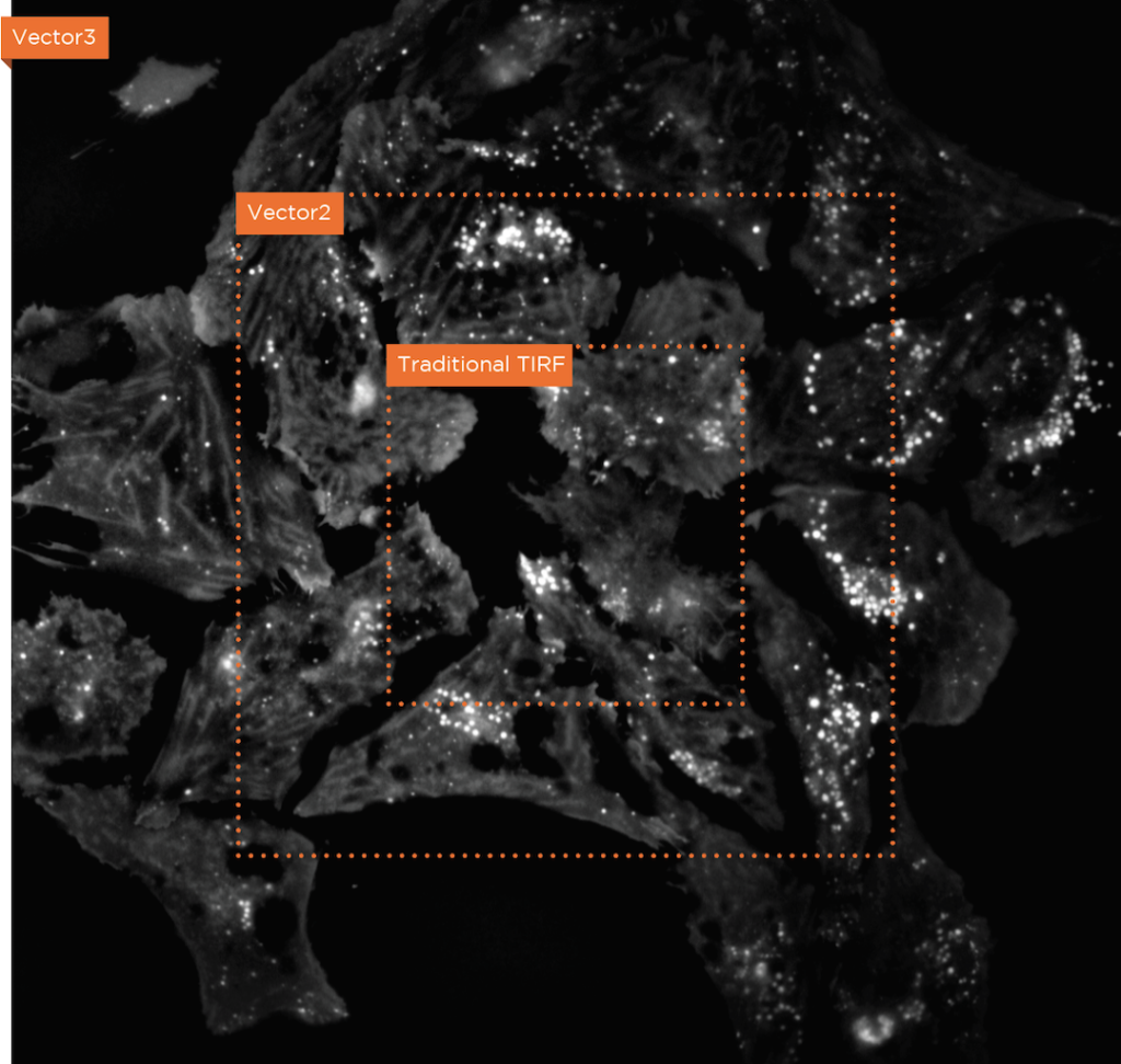 Total Internal Reflection Fluorescence (TIRF) Microscopy - 3i