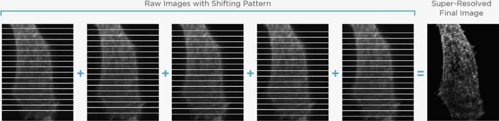 Lattice LightSheet - 3i